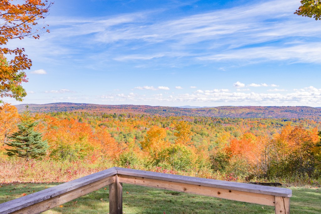 Gallery – Halcyon Ridge