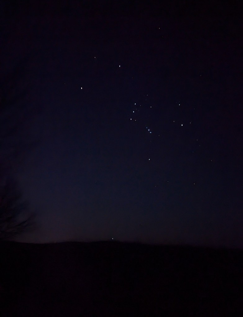 Gallery – Halcyon Ridge