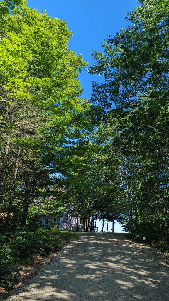 Gallery – Halcyon Ridge